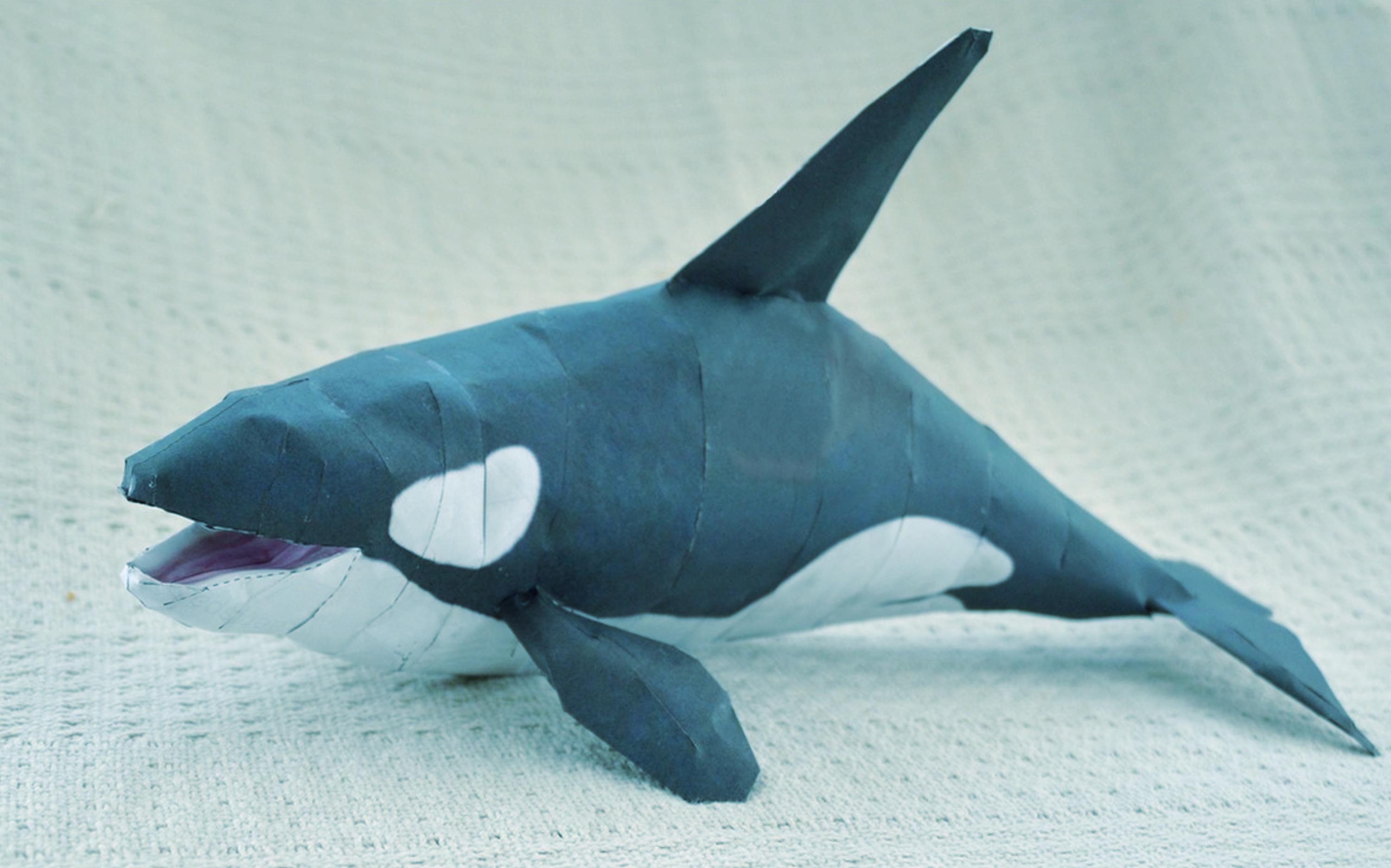 Papercraft Kit Orca Whale 3d Paper Model Crafting Kit PDF Plans to ...