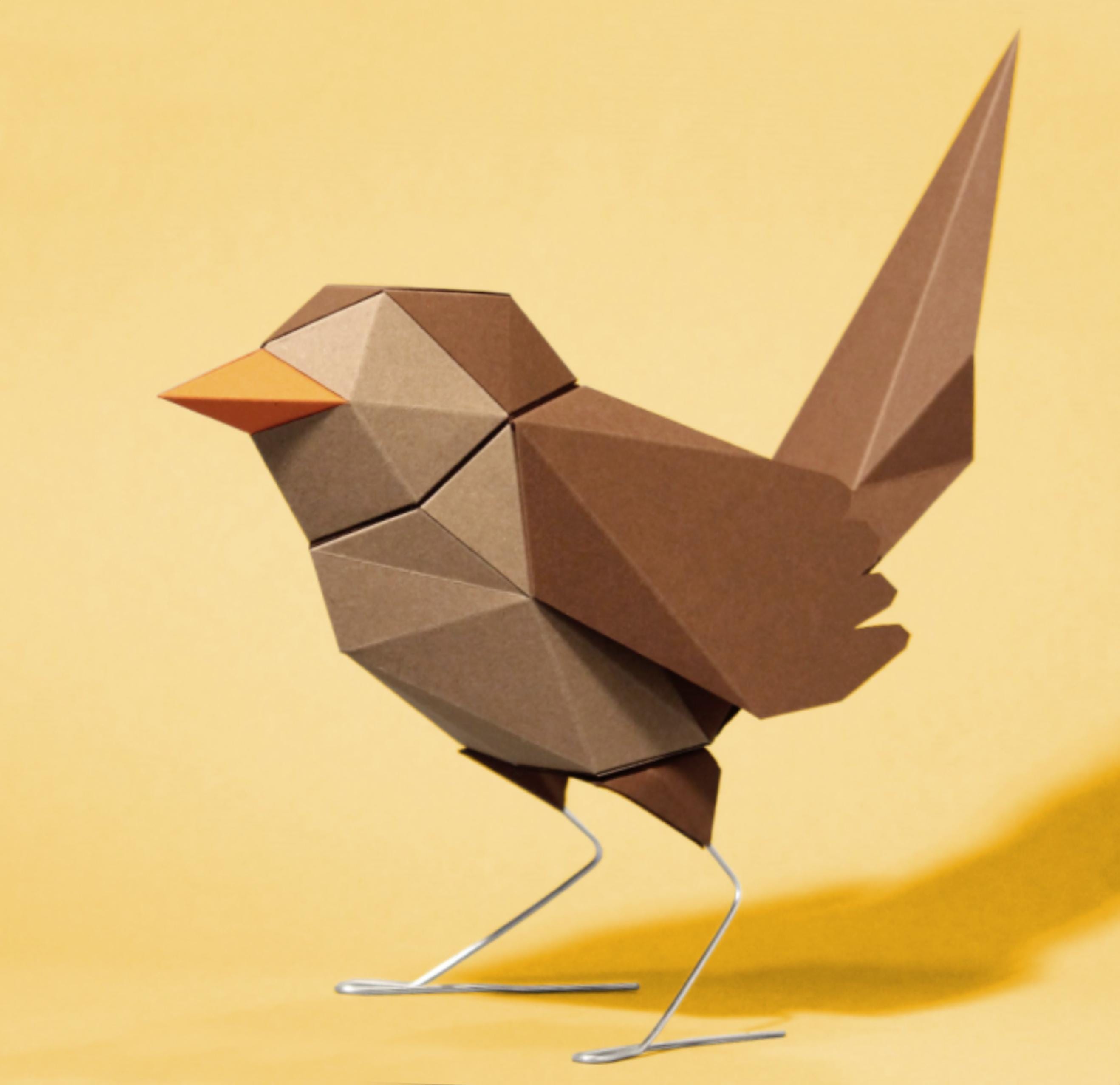 Papercraft Kit Wren Bird 3d Paper Model Crafting Kit PDF Vector Lines ...