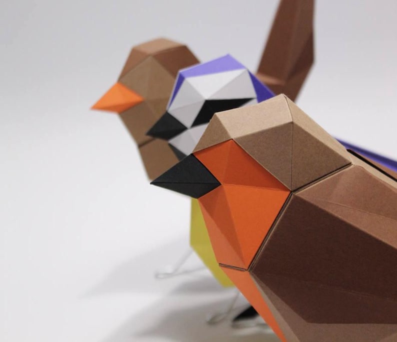 Papercraft Kit Wren Bird 3d Paper Model Crafting Kit PDF Vector Lines ...