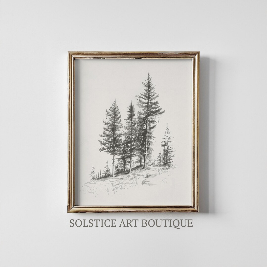Longleaf Pine Tree Print | Vintage Tree Sketch | Printable Tree Art ...