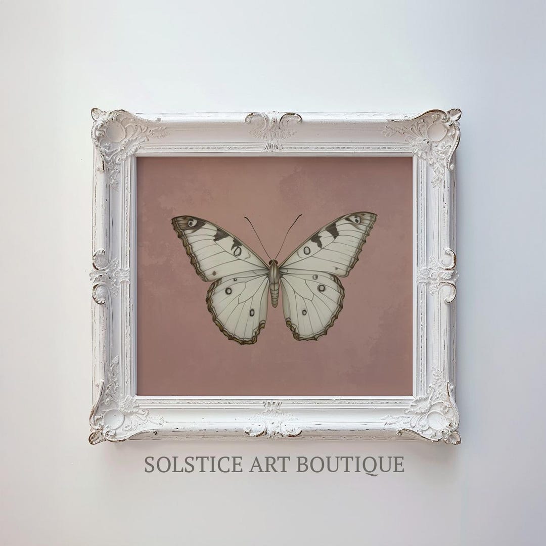 Antique Butterfly Drawing | Beautiful Vintage Butterfly Illustration ...