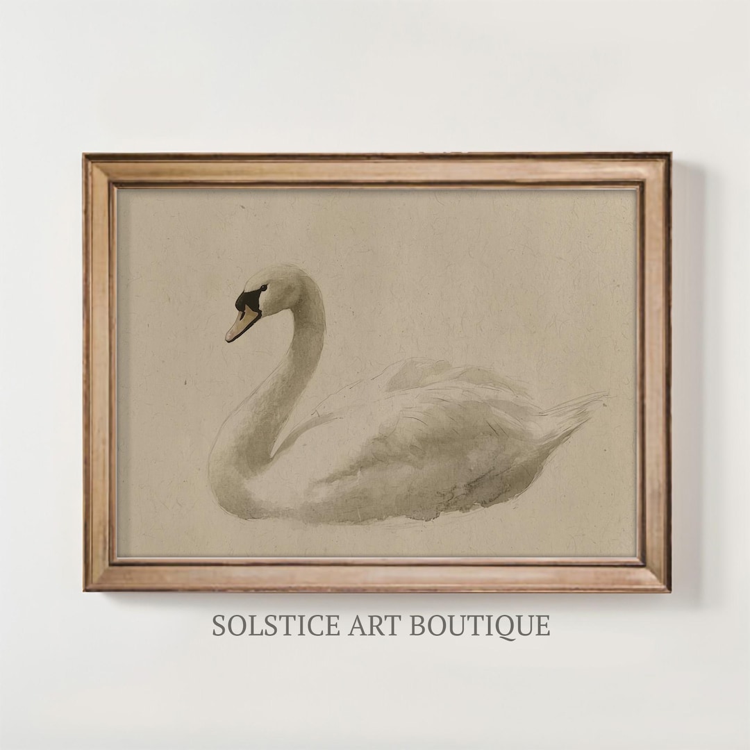 Vintage Schwan Aquarell Skizze | Neutrale Schwan Zeichnung | Druckbare ...