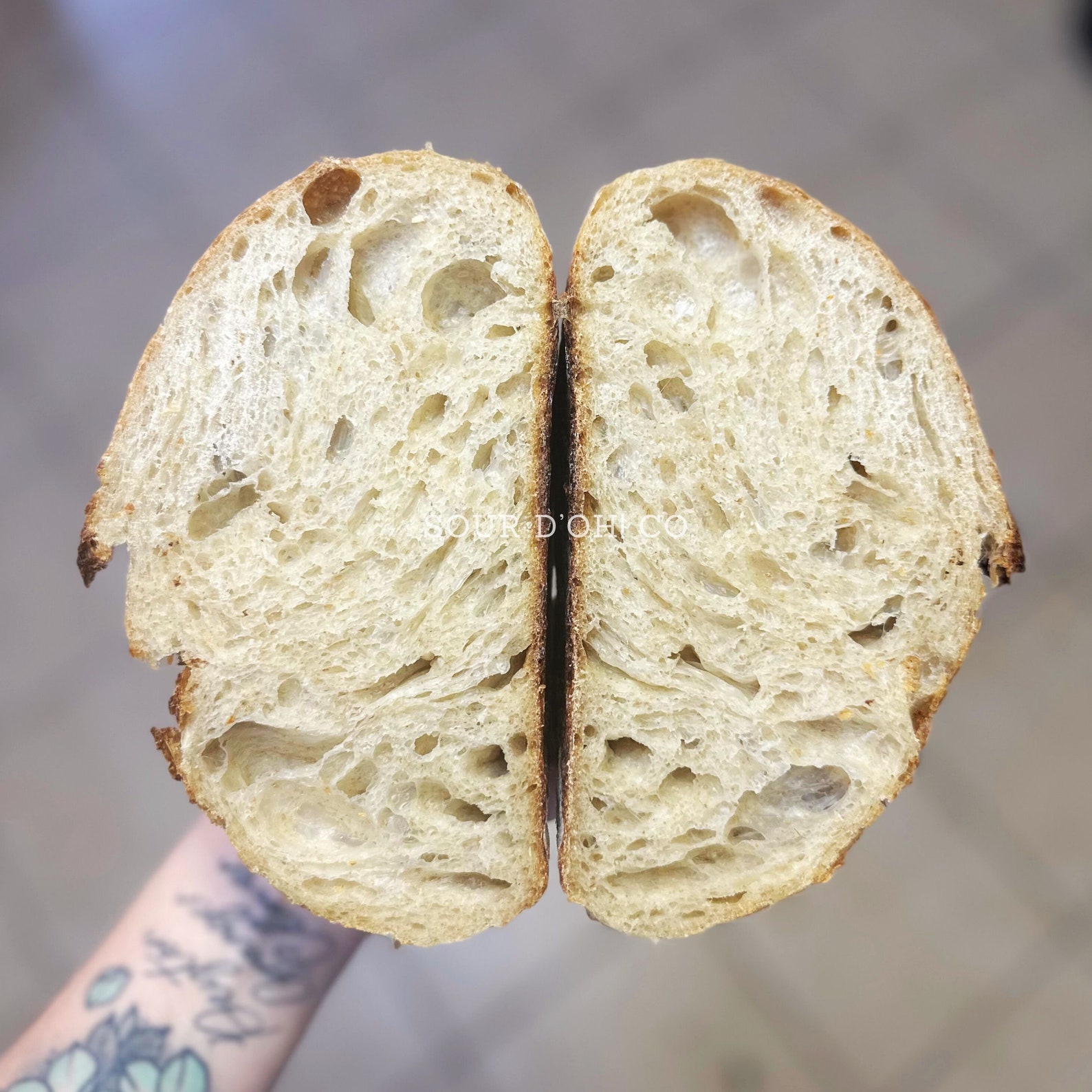 Marge - Dehydrated Sourdough Starter With Beginner Friendly Recipe - Etsy