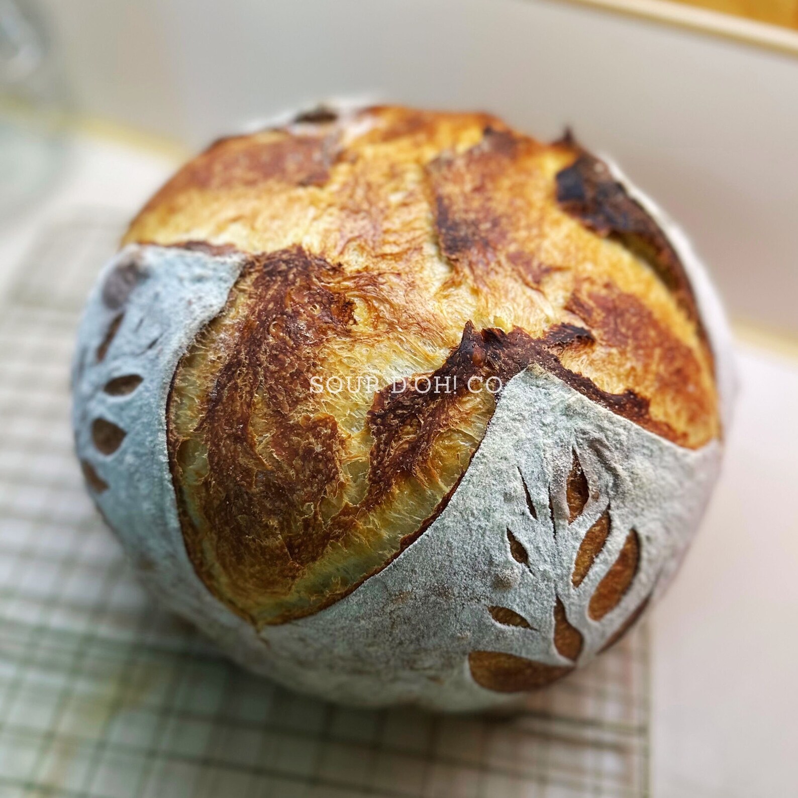 Marge - Dehydrated Sourdough Starter With Beginner Friendly Recipe - Etsy