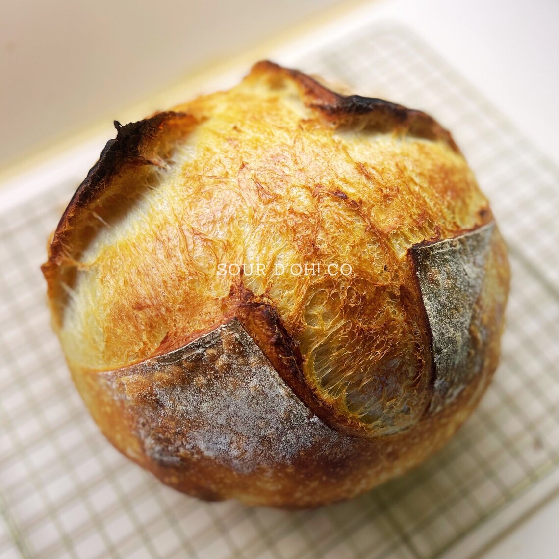 Marge - Dehydrated Sourdough Starter With Beginner Friendly Recipe - Etsy