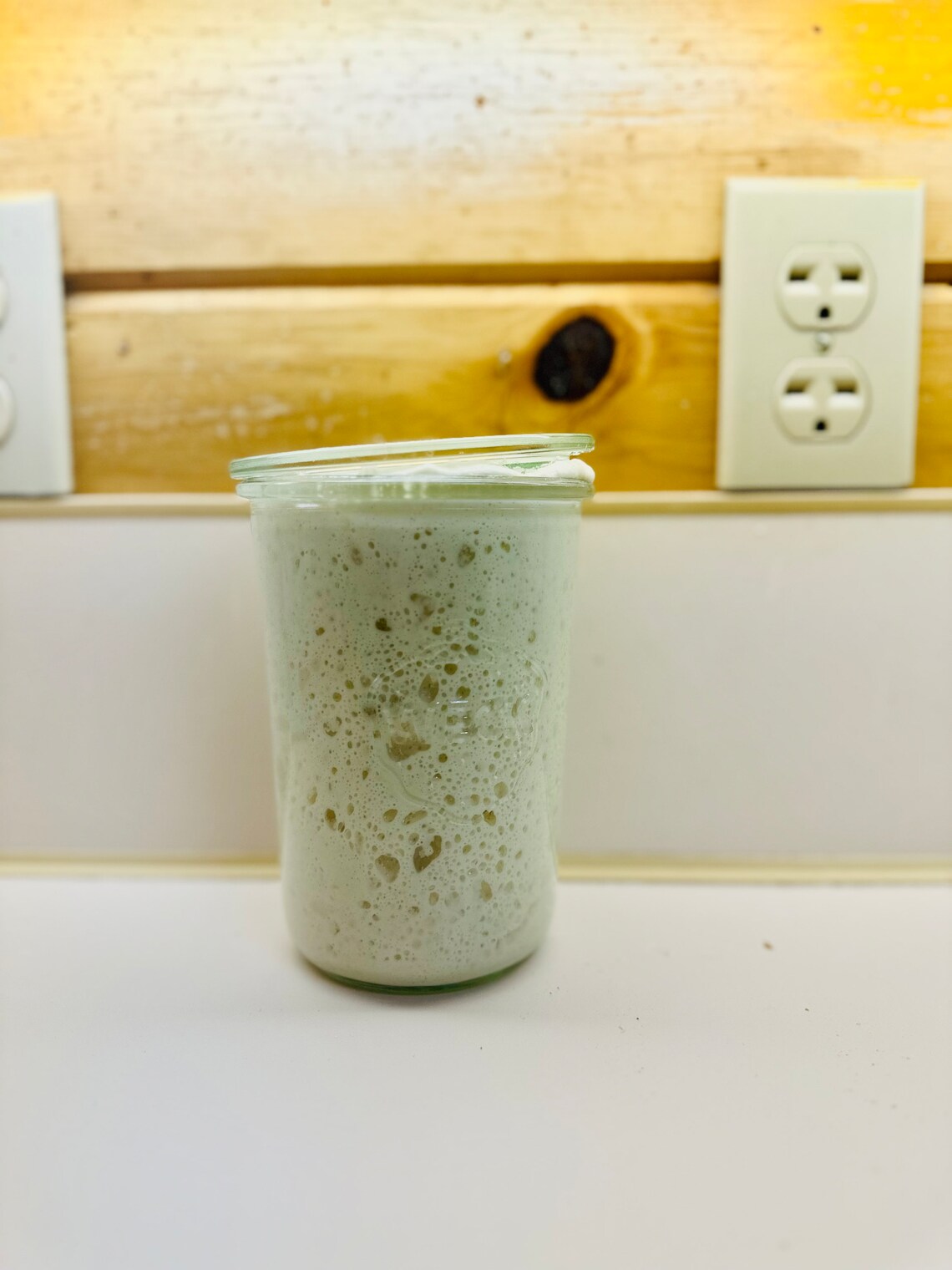 Marge - Dehydrated Sourdough Starter With Beginner Friendly Recipe - Etsy