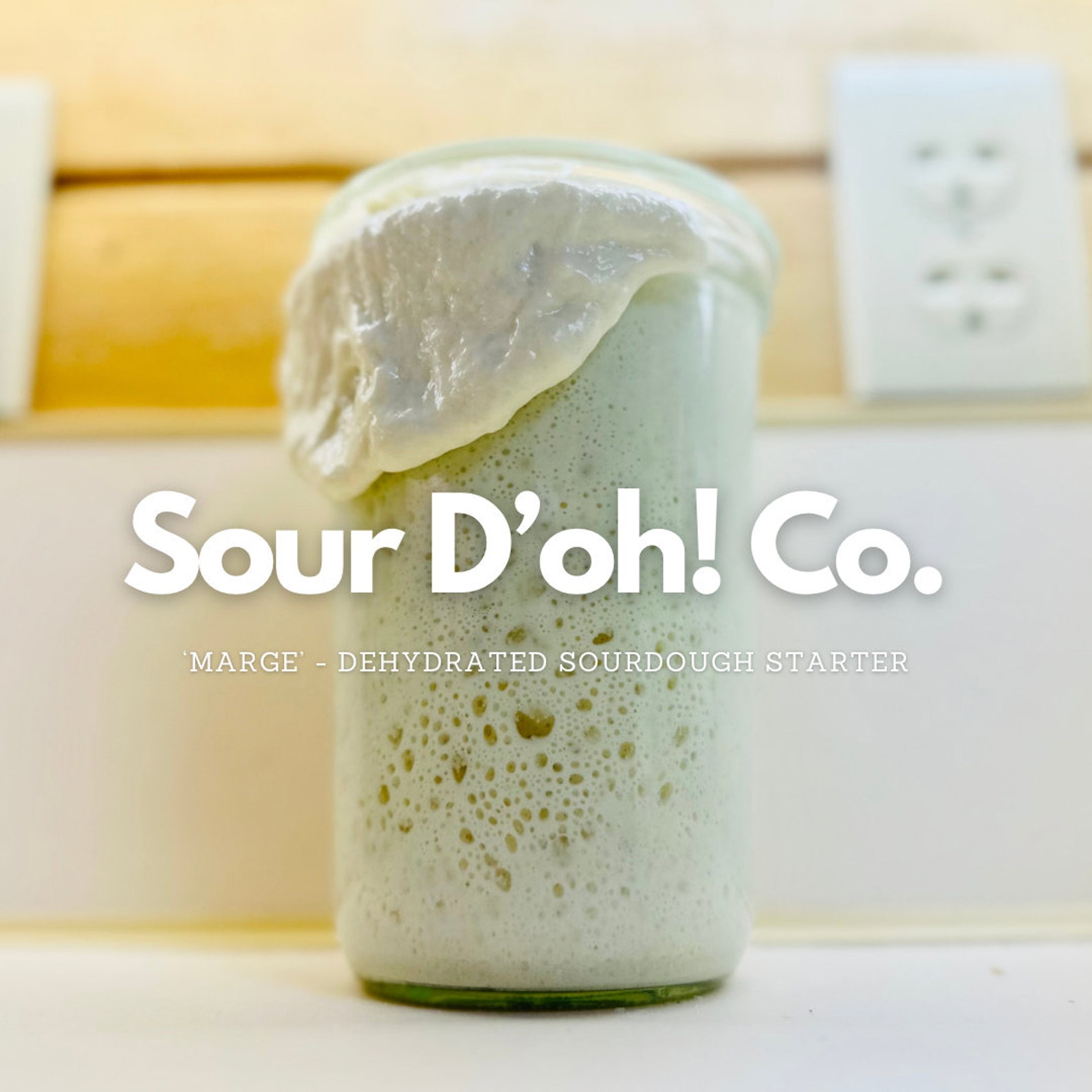Marge - Dehydrated Sourdough Starter With Beginner Friendly Recipe - Etsy