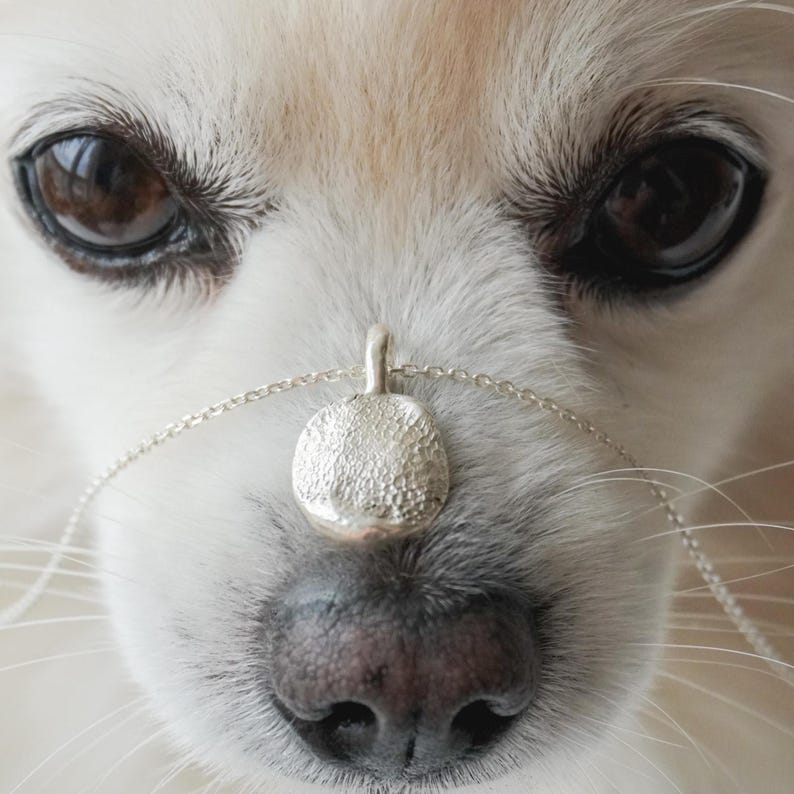 Silver Dog Nose Print Jewelry, Personalized Dog Memory Pendant ...
