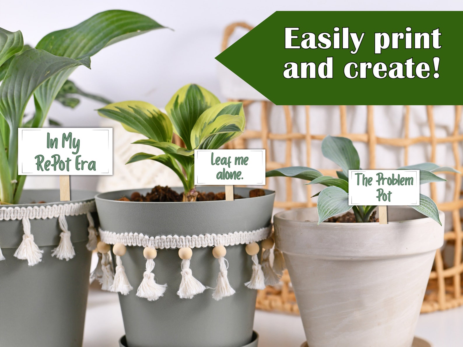 24 DIY Printable Funny Plant Signs and Plant Labels for Plant Lover ...