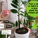 24 DIY Printable Funny Plant Signs and Plant Labels for Plant Lover ...