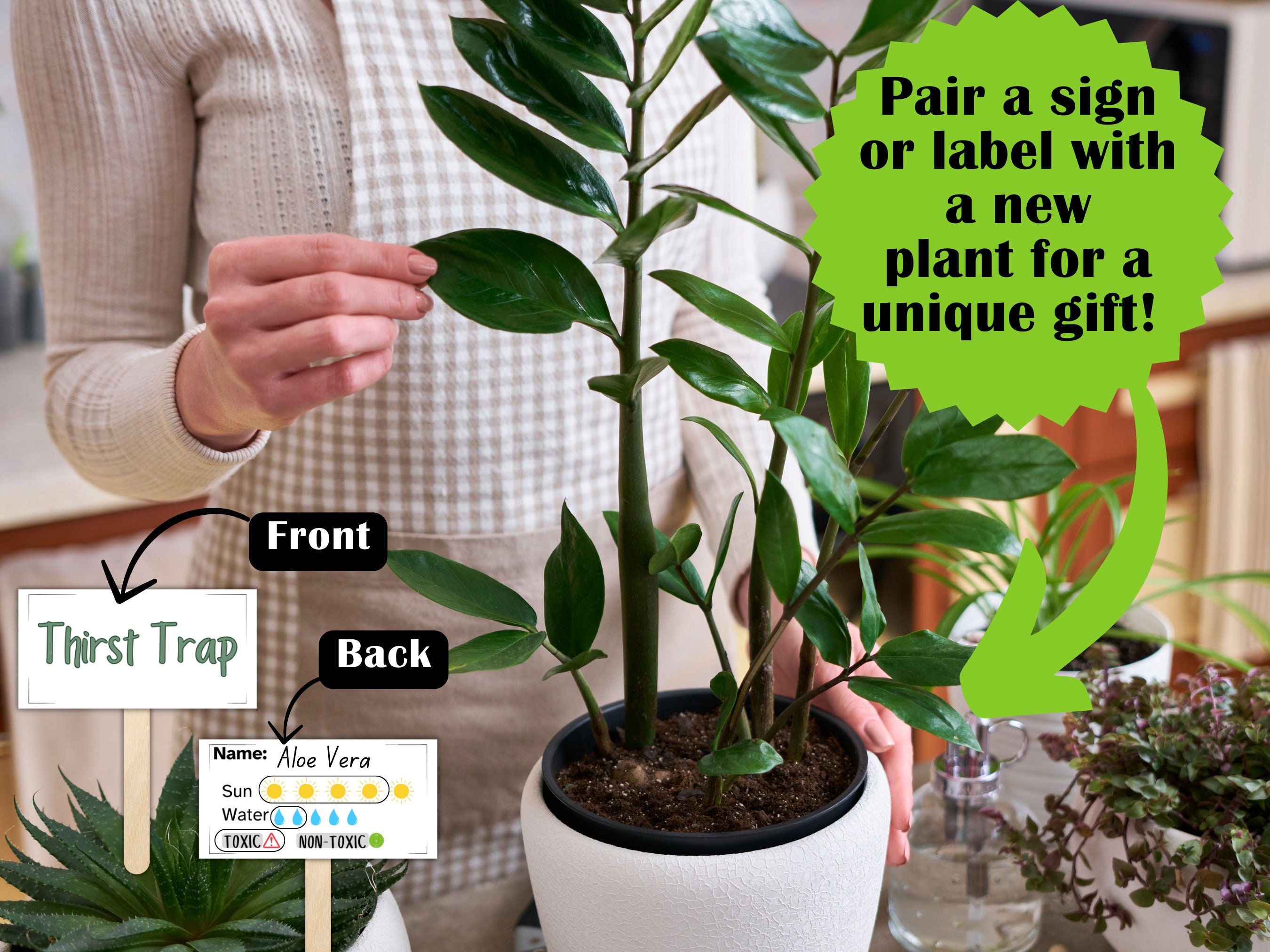24 DIY Printable Funny Plant Signs and Plant Labels for Plant Lover ...