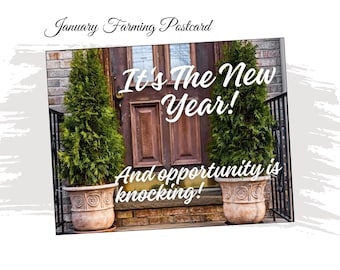 Cool Dog - Real Estate Postcard | Farming Postcard | Realtor Marketing ...