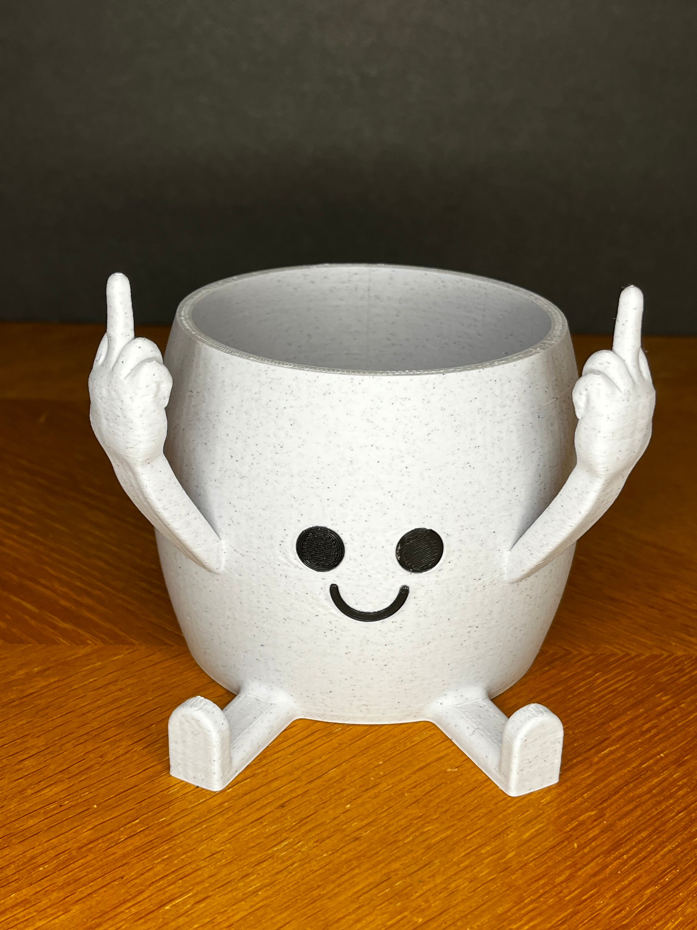 Unique Middle Finger Pot Trendy Middle Finger Planter for Succulents ...