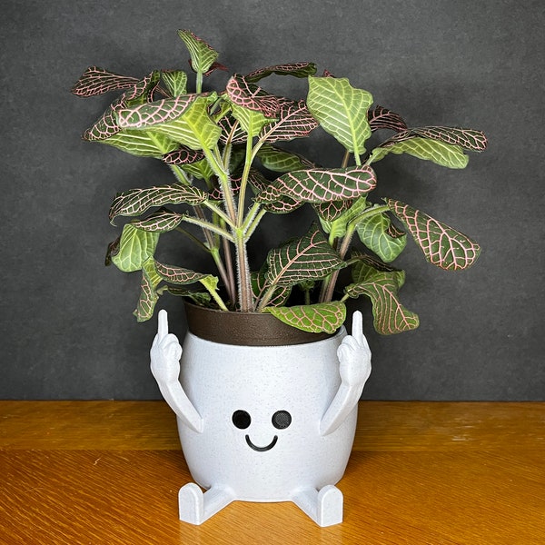 Unique Planter - Etsy