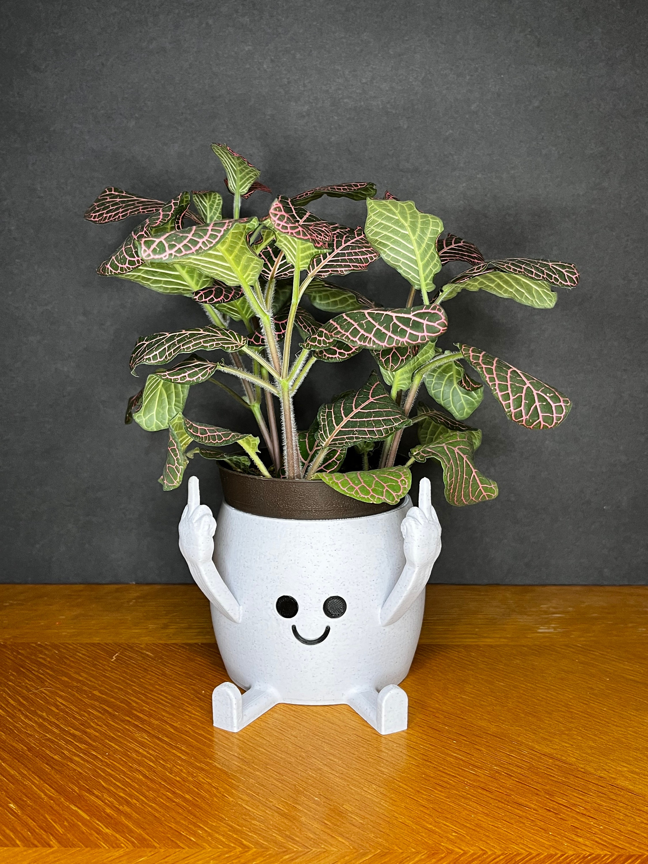 Unique Middle Finger Pot Trendy Middle Finger Planter for Succulents ...