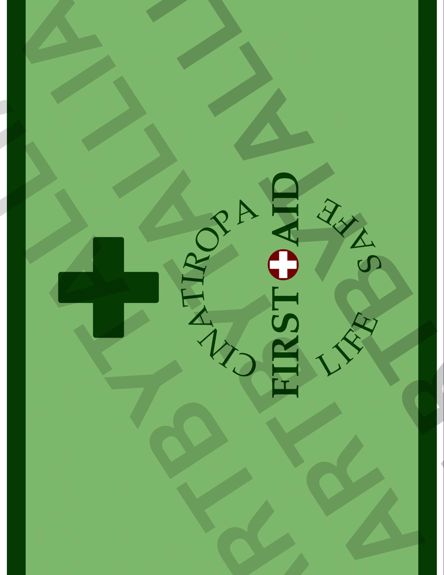 Resident Evil First Aid Spray - Prop, Birthday, Diy - Etsy