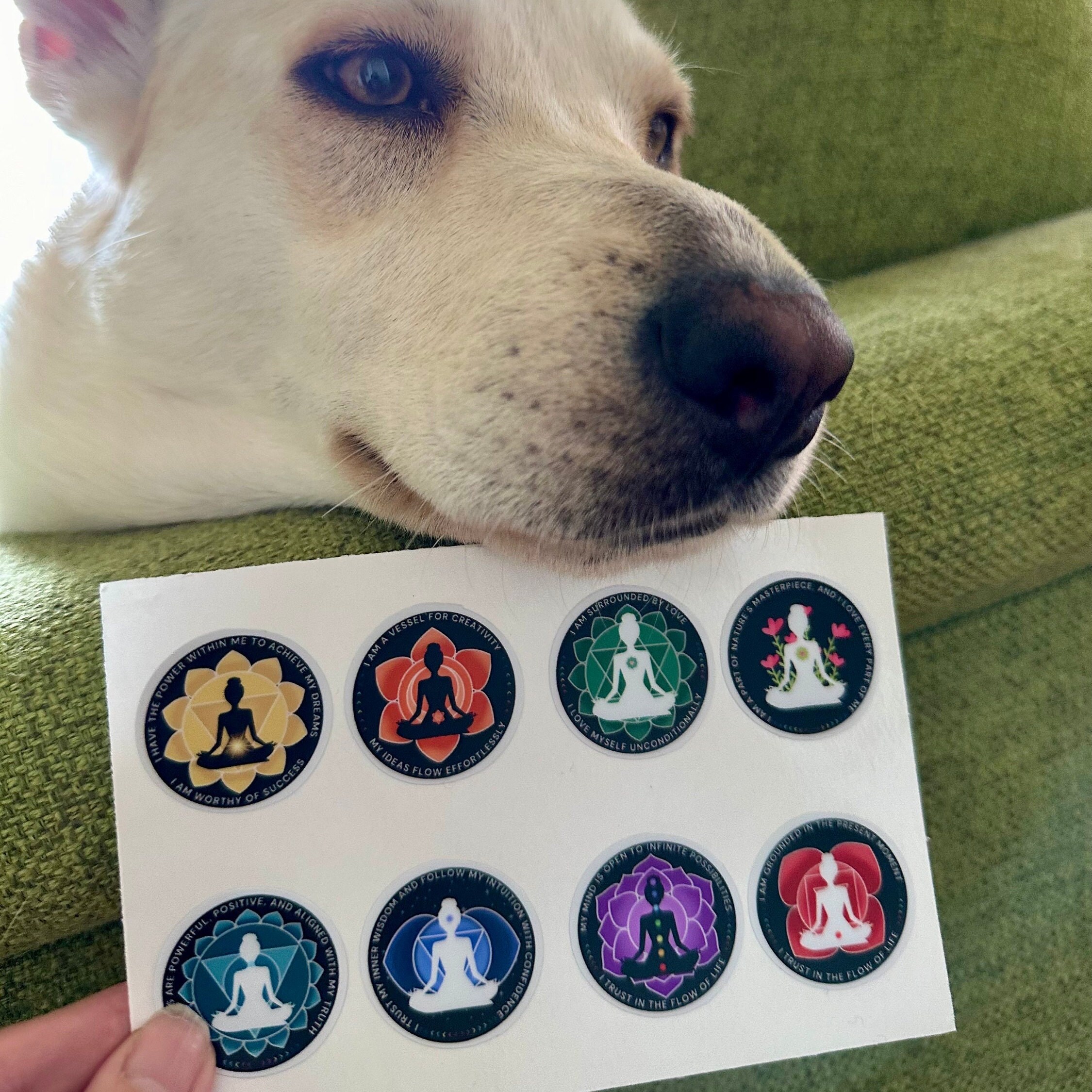 Positive Affirmation Chakra Sticker Set /spiritual Gift for Yoga and ...