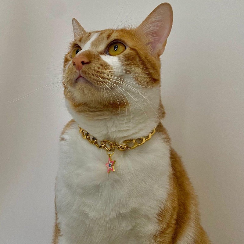 Gold Cat Collar - Etsy