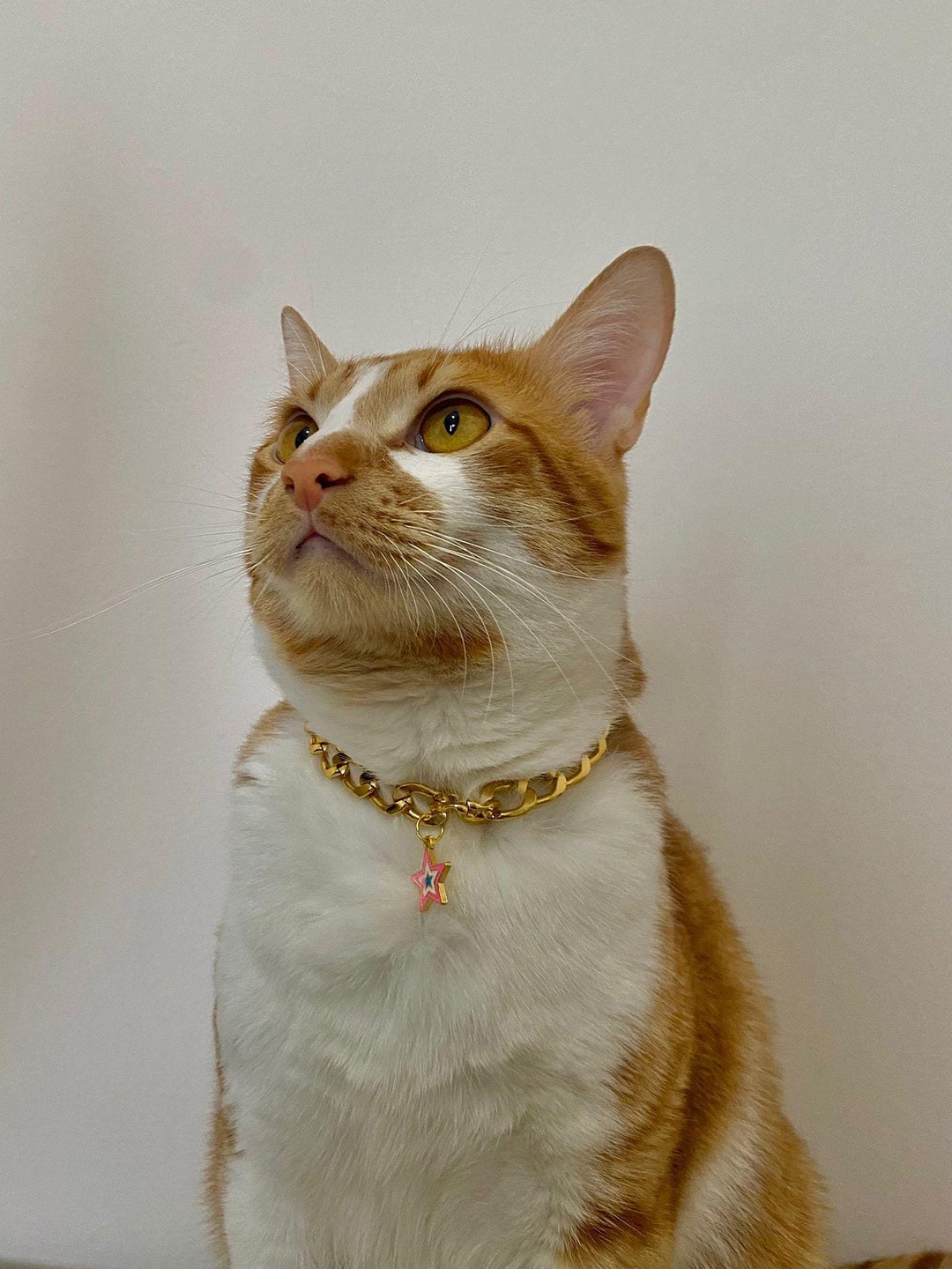 Gold Color, Cat Coller Small Dog Coller Cat Chain Necklace Pet Gift for ...