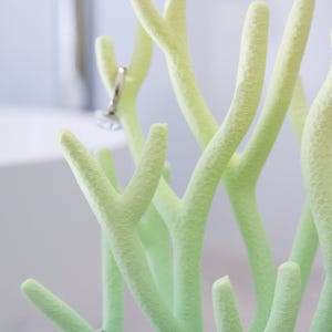 Coral Jewelry Stand - Etsy