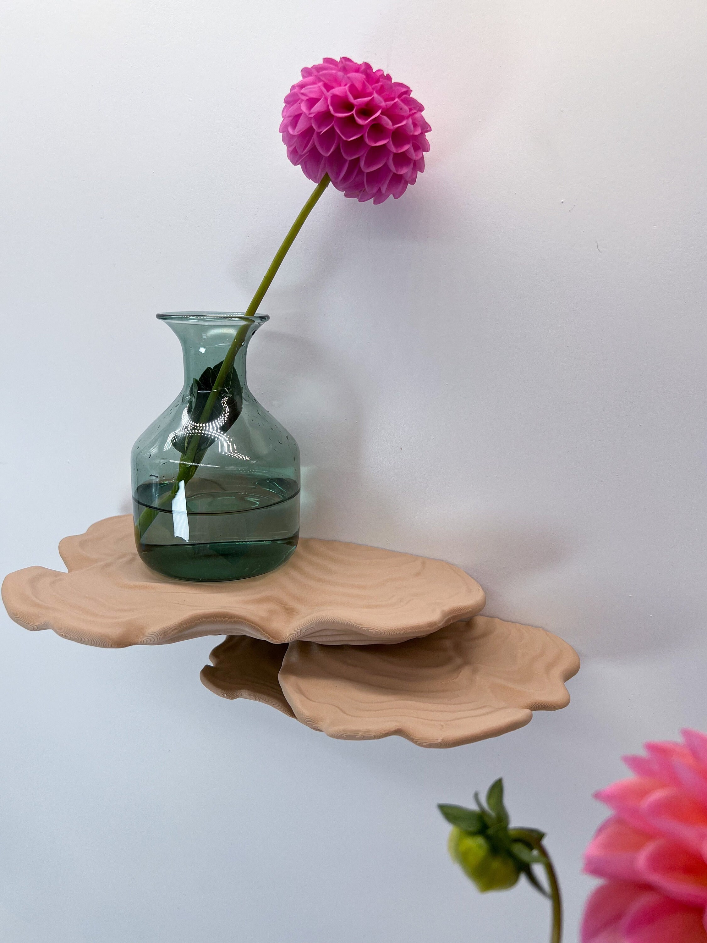Mushroom Wall Shelf: Layered Fungus, Rustic Witchie Decor - Etsy