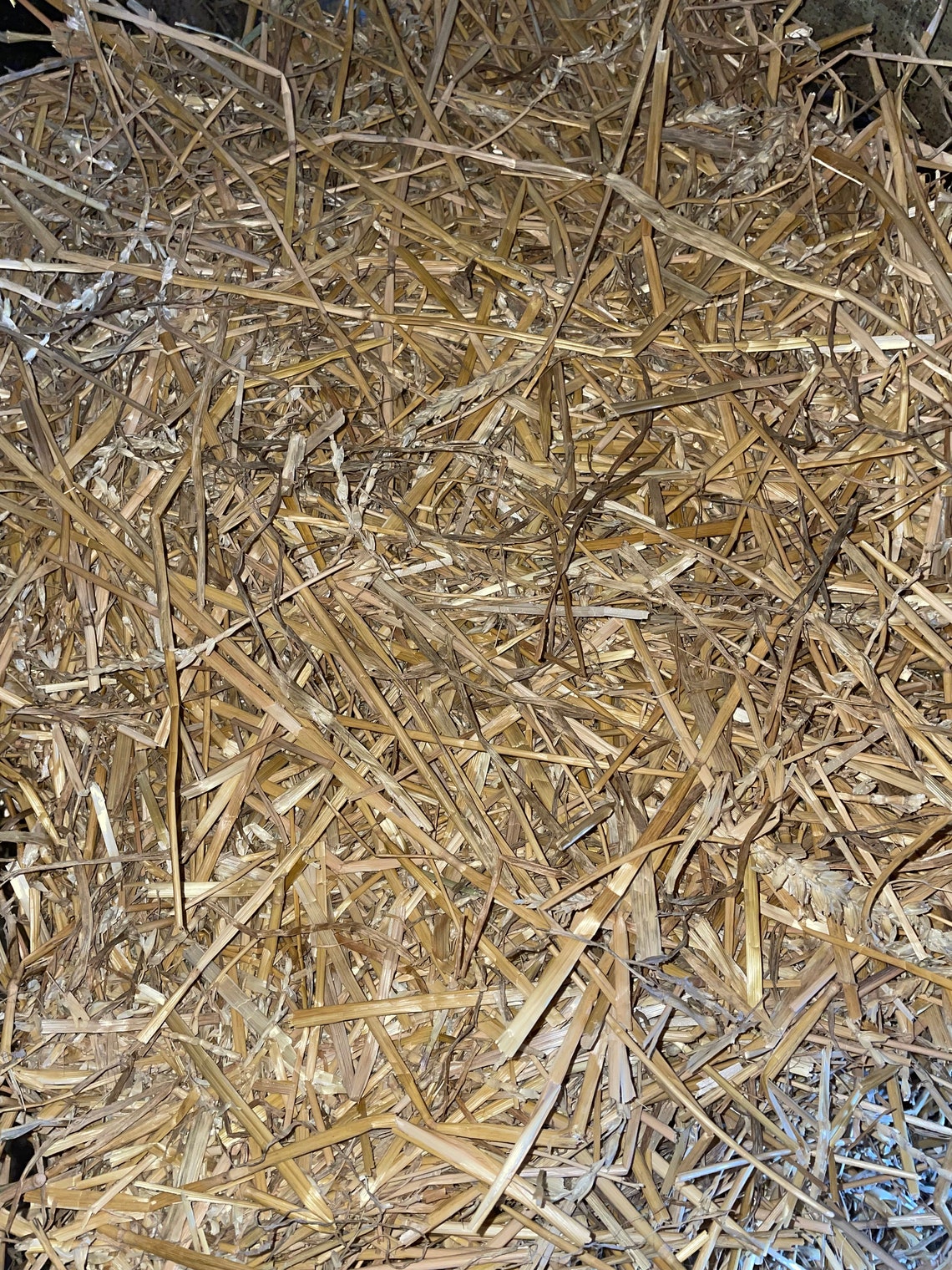 Straw - Premium Organic Wheat Straw (4lb or 8lb) - Gardens, Animal ...