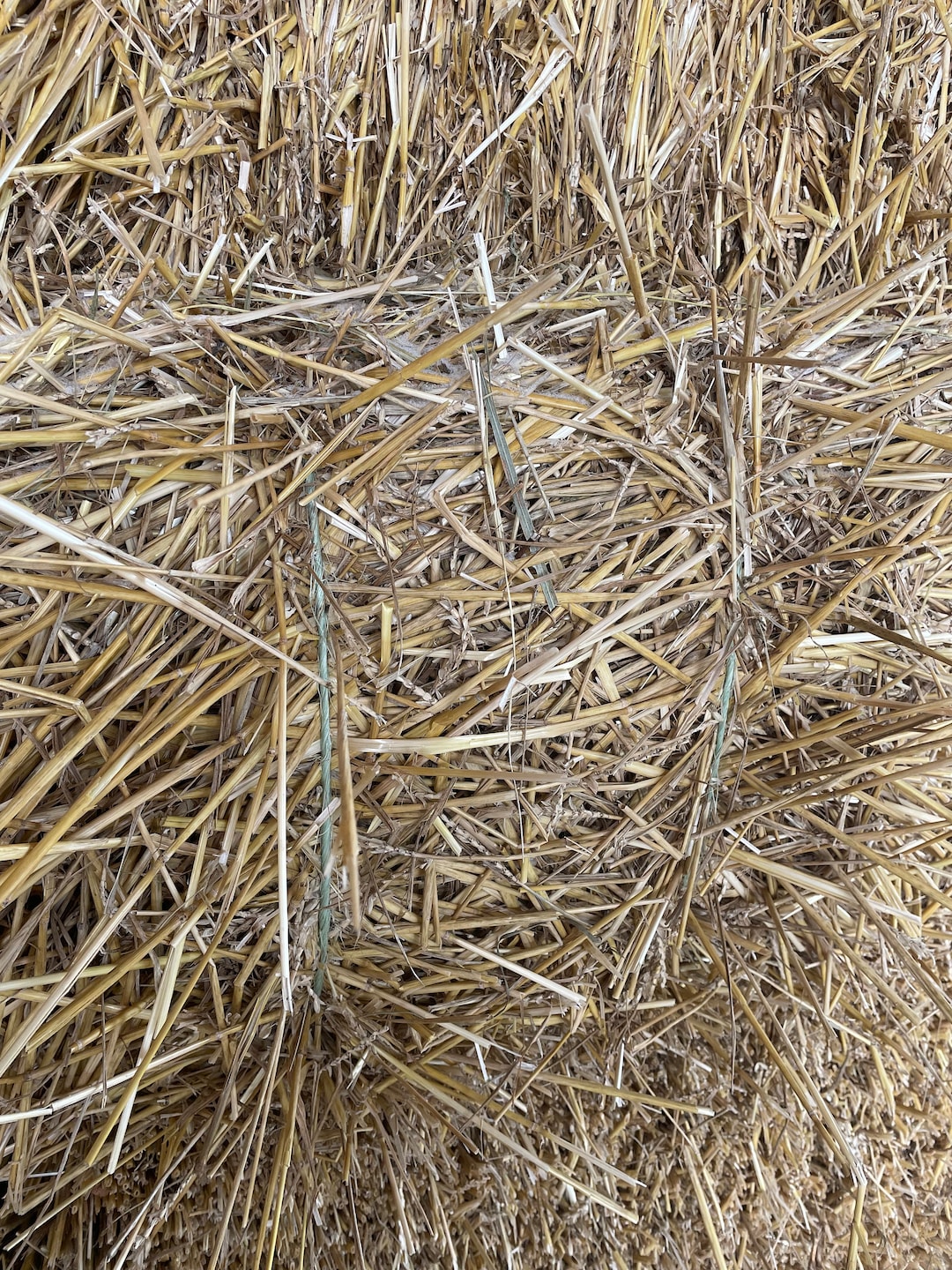 Straw - Premium Organic Wheat Straw (4lb or 8lb) - Gardens, Animal ...