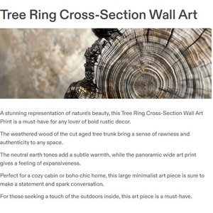 Tree Ring Cross-section Wall Art. Aged Forest Trunk Cut Weathered Wood ...