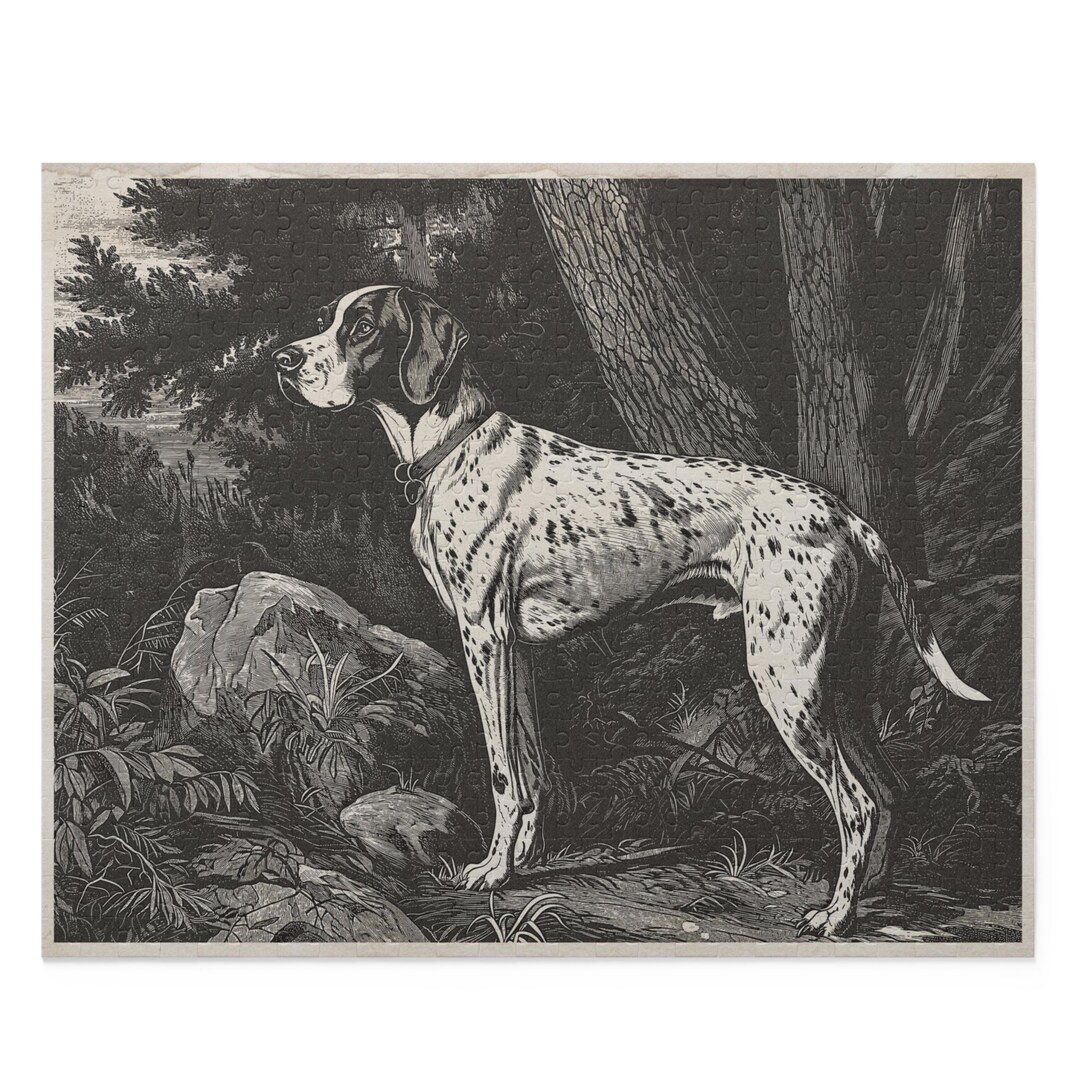 Noble Companionship: English Pointer Enigma Illustration of a Dog ...