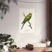 Green Budgerigar Parakeet Budgie Parrot Vintage Scientific Illustration ...