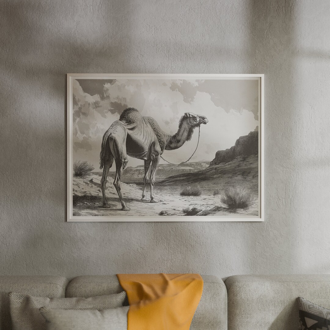 Desert Dignity: Vintage Camel Engraved Ink Drawing Style Illustration Aesthetic Poster Large ...