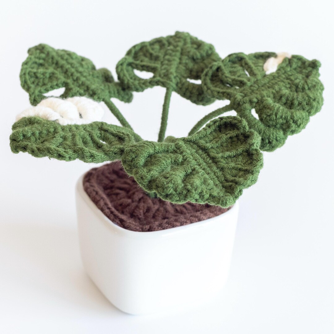 Crochet Monstera in Pot, Handmade Monstera, Handmade Monstera for Home ...