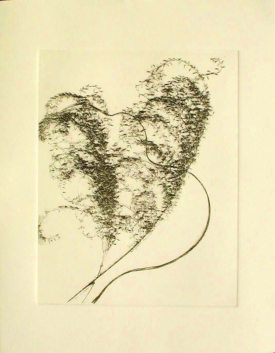 Bouquet of Grasses III is an Etching of Dried Ornamental Grasses in the ...