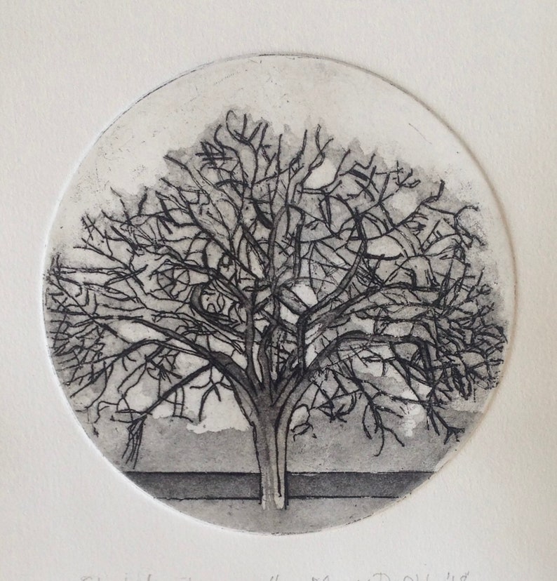 The Elm Tree is a Circular Etching With Drypoint, Printed From the ...