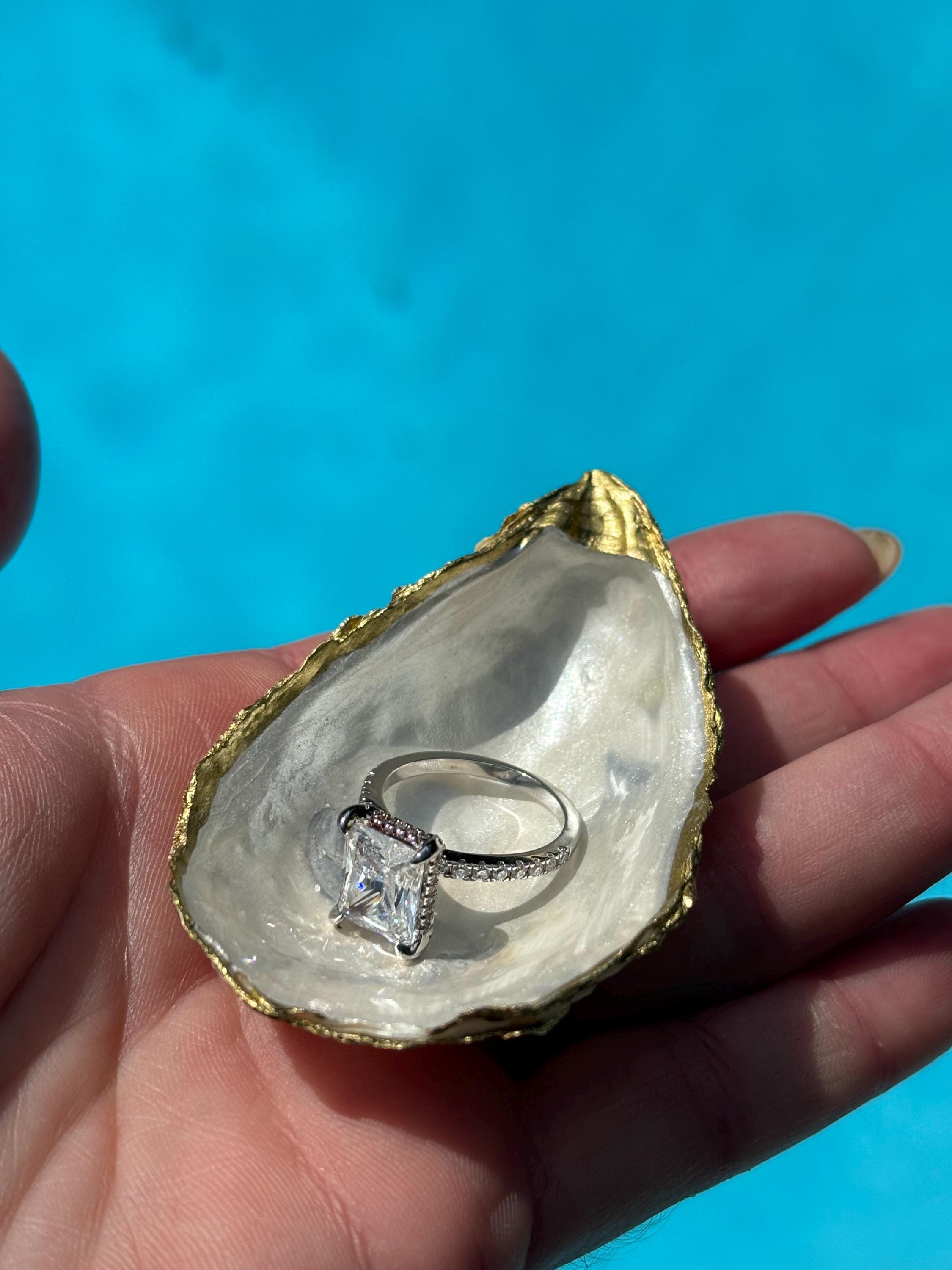 Shiny Pearl Oyster Shell With Gold Trim - Etsy