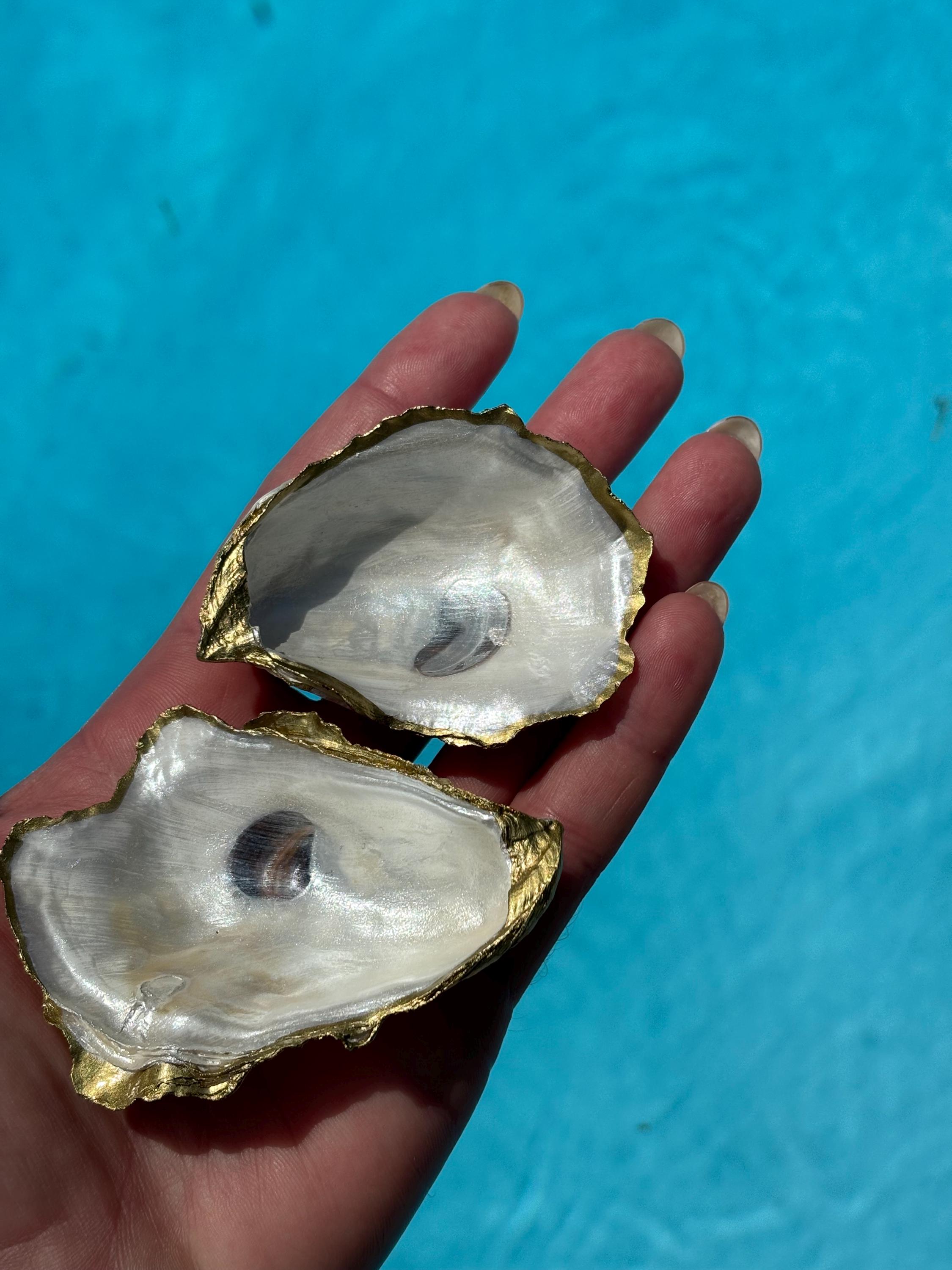 Shiny Pearl Oyster Shell With Gold Trim - Etsy