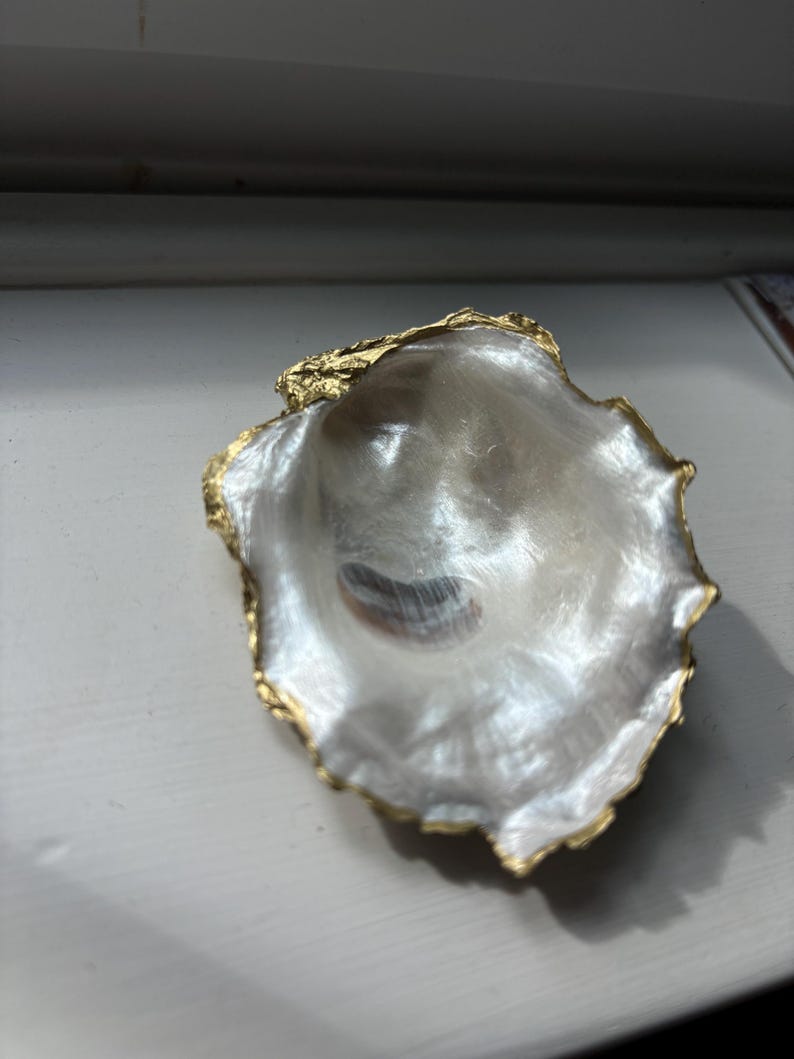 Shiny Pearl Oyster Shell With Gold Trim - Etsy