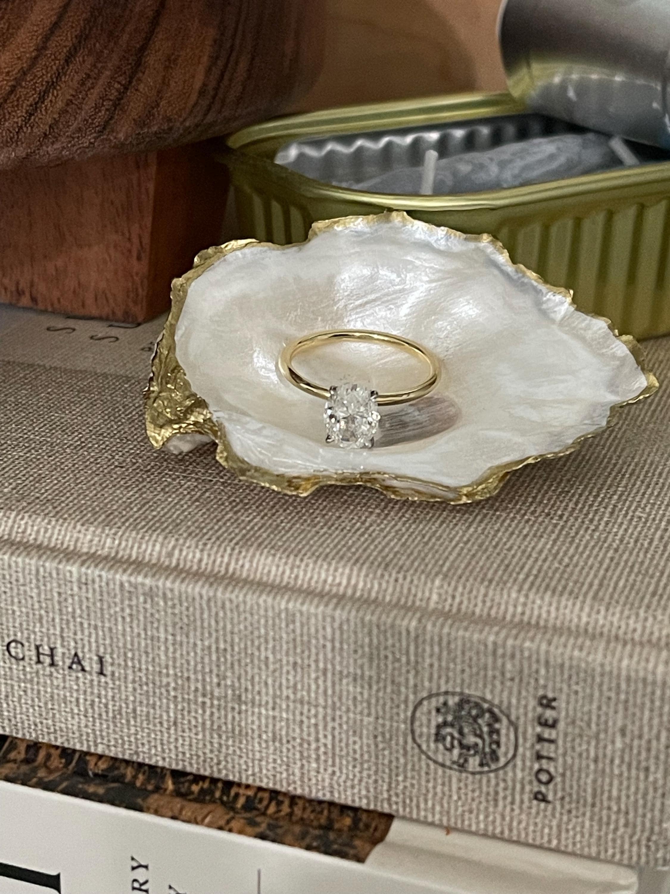 Shiny Pearl Oyster Shell With Gold Trim - Etsy