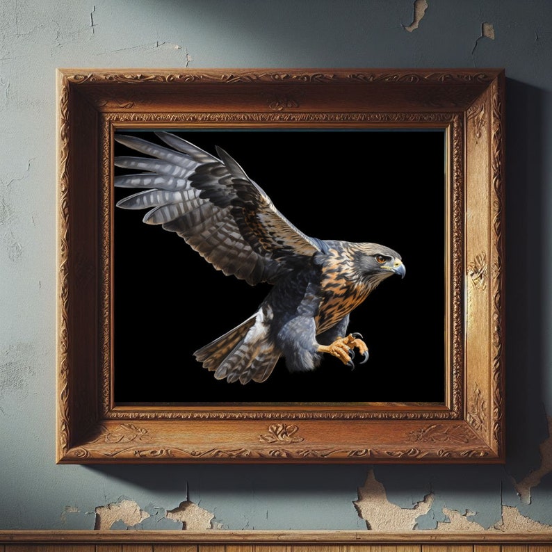 Peregrine Falcon Bird Print Printable Wall Art Boys Room Wall Decor ...