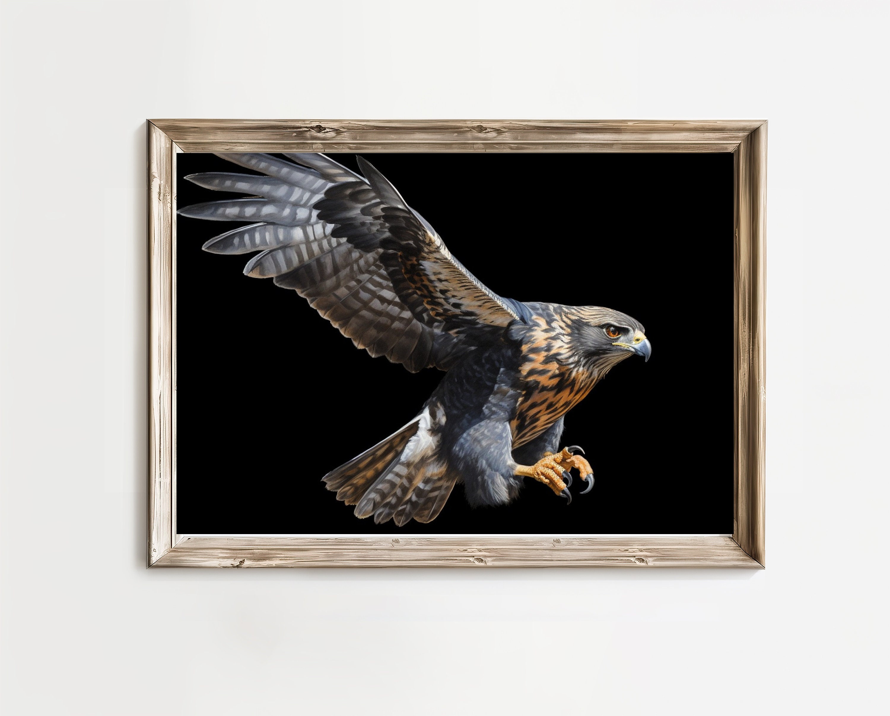 Peregrine Falcon Bird Print Printable Wall Art Boys Room Wall Decor ...