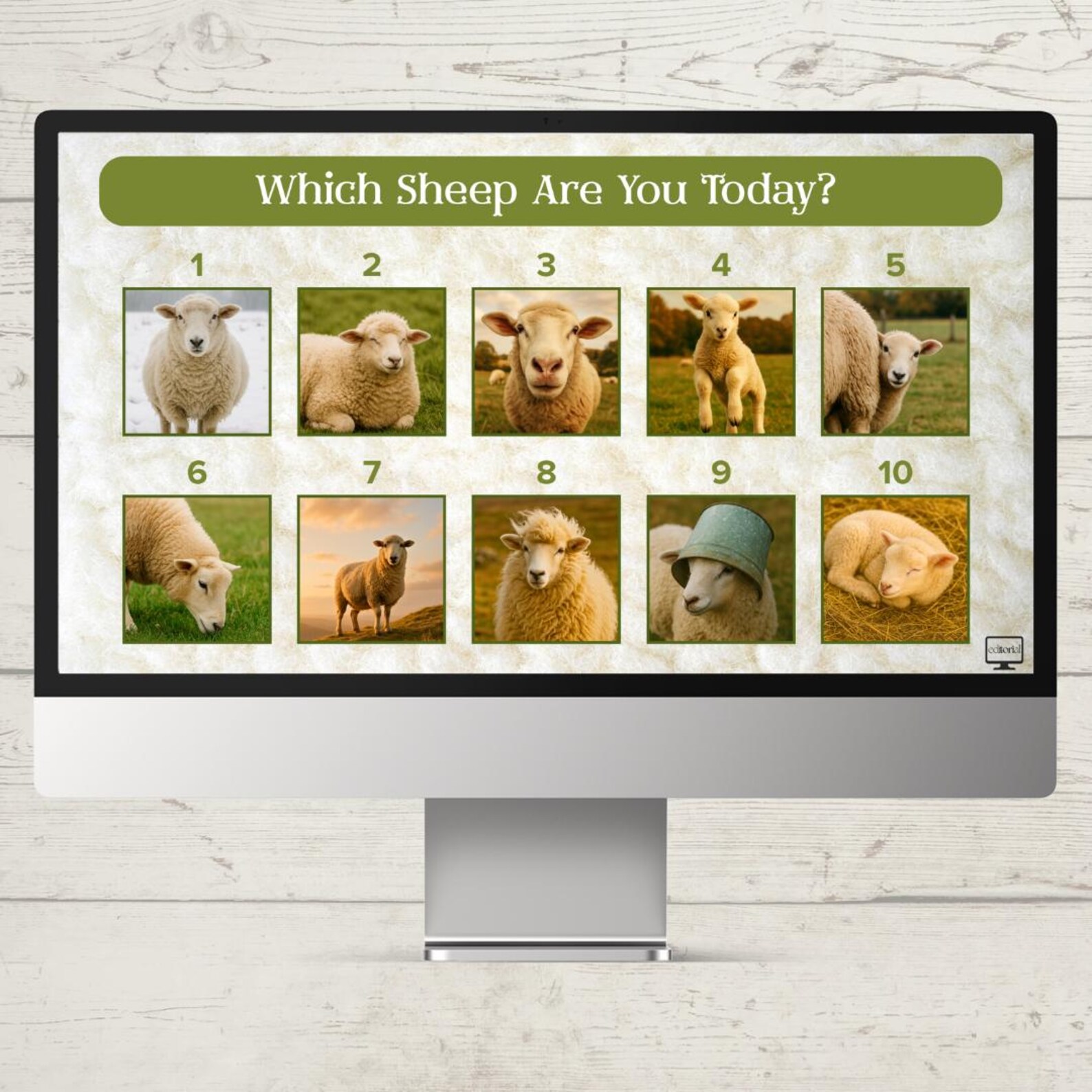 Which Sheep Are You Today? | Fun Barnyard Animal Icebreaker Slide for ...