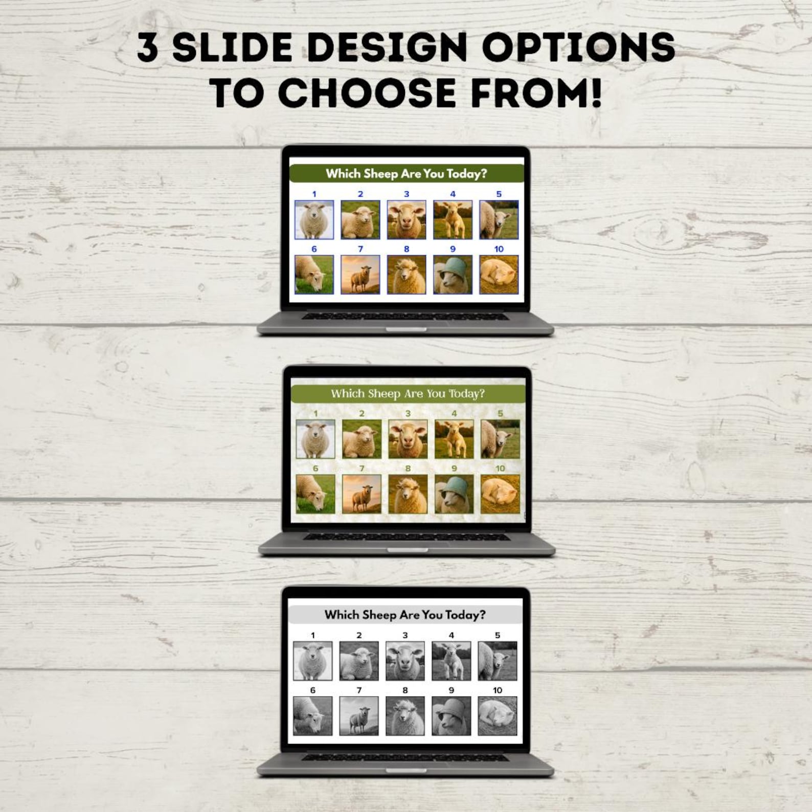 Which Sheep Are You Today? | Fun Barnyard Animal Icebreaker Slide for ...