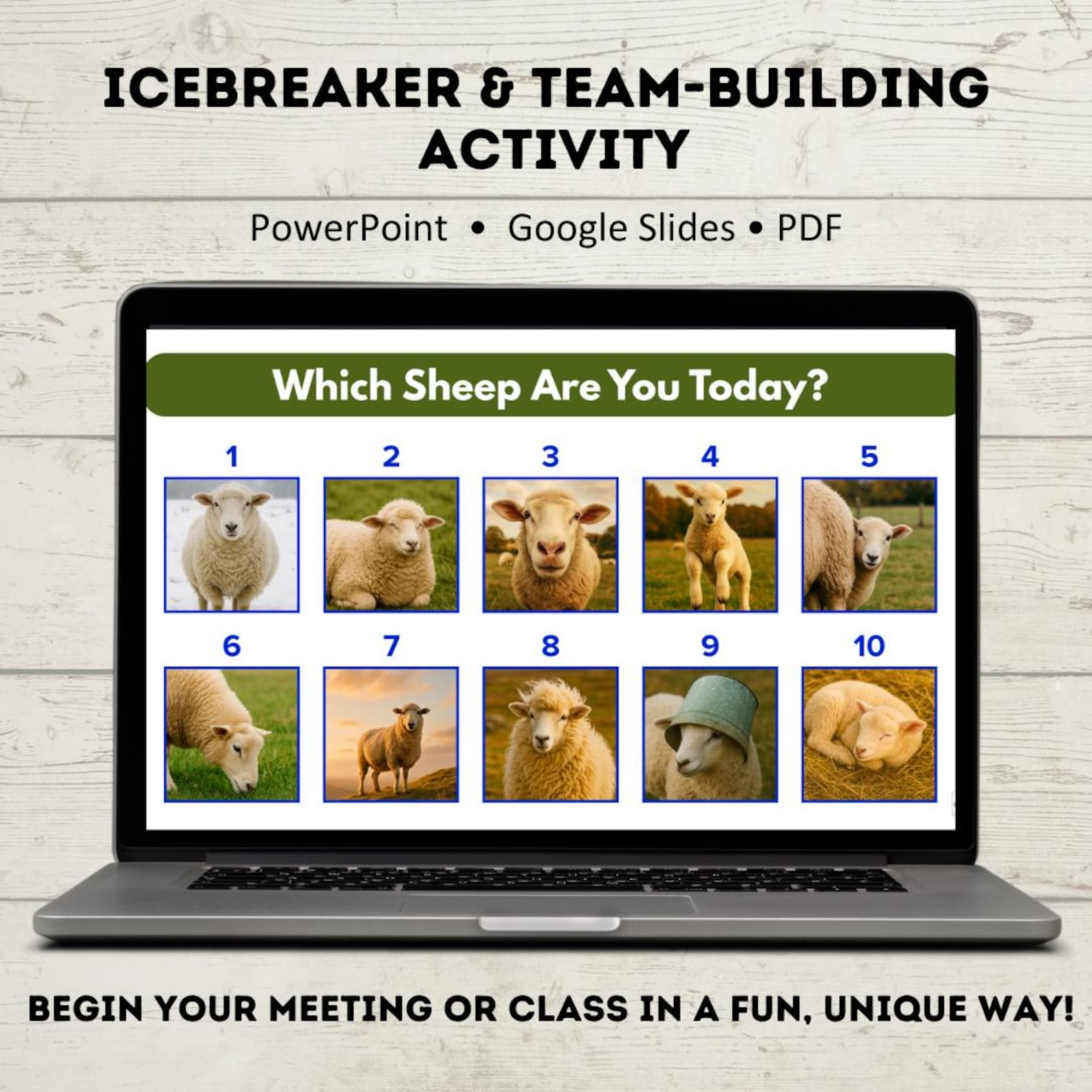 Which Sheep Are You Today? | Fun Barnyard Animal Icebreaker Slide for ...