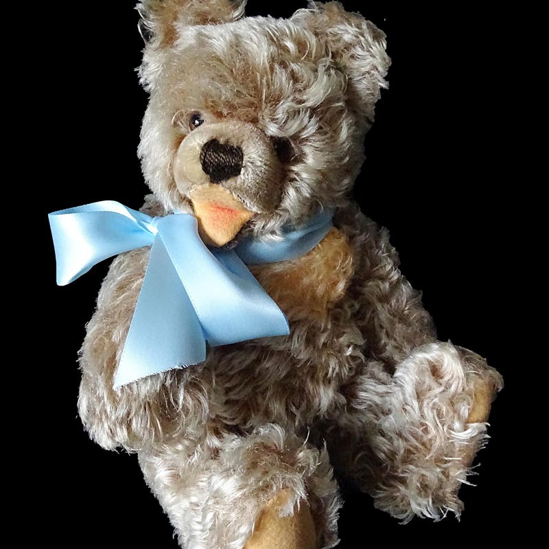 Zotty Bear - Etsy