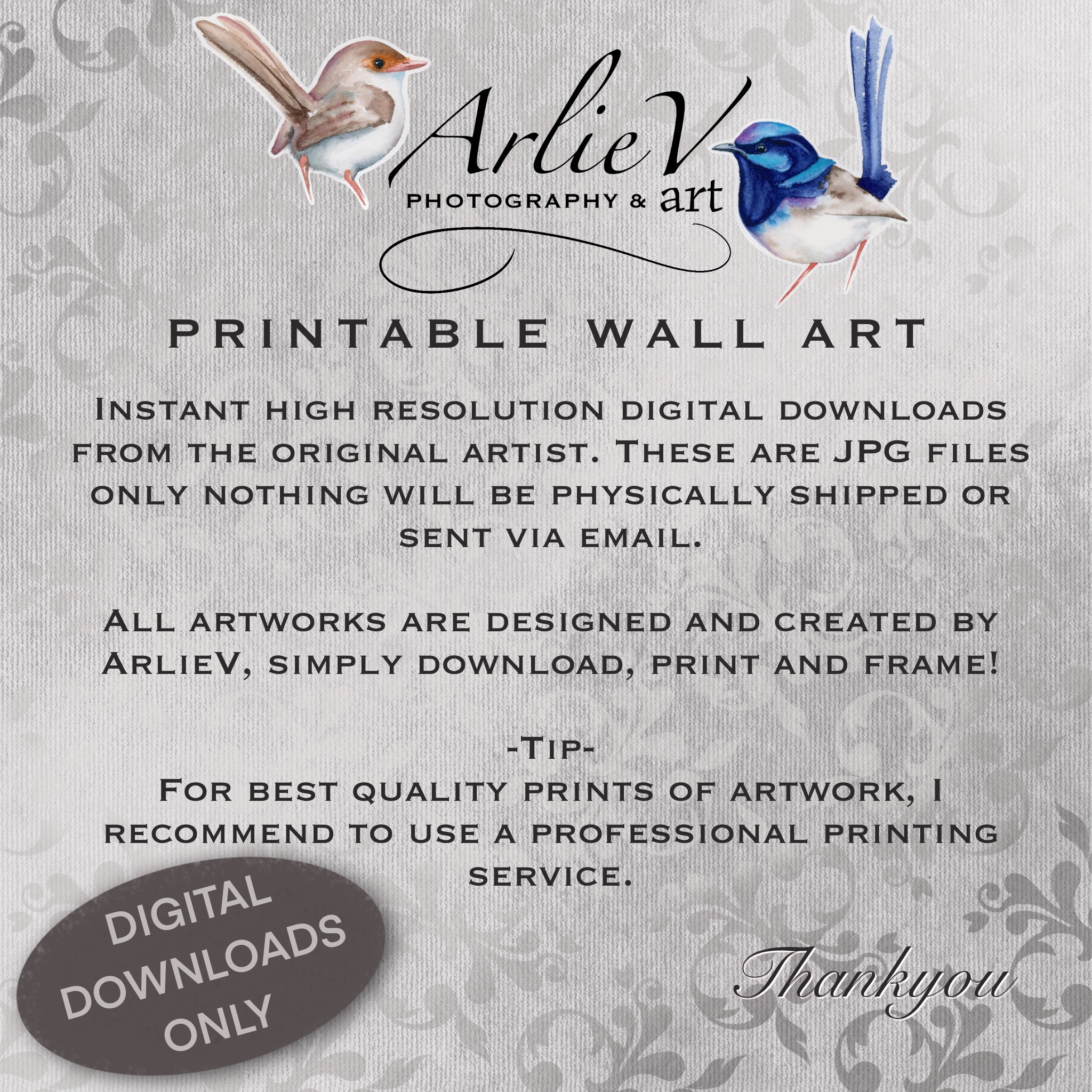 Cassowary Art Print/ Realistic Drawing / Wall Decor / Digital Download ...