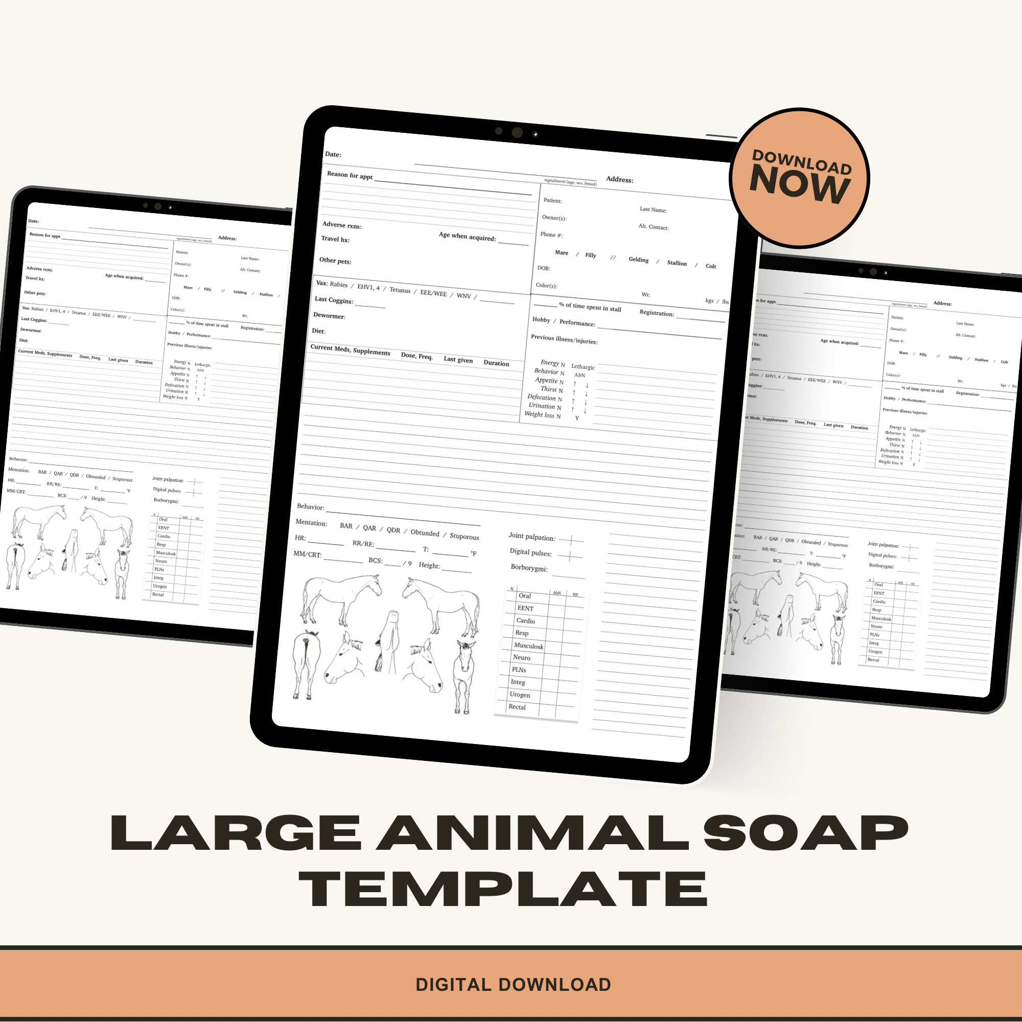 Equine SOAP Template (digital Download) - Etsy