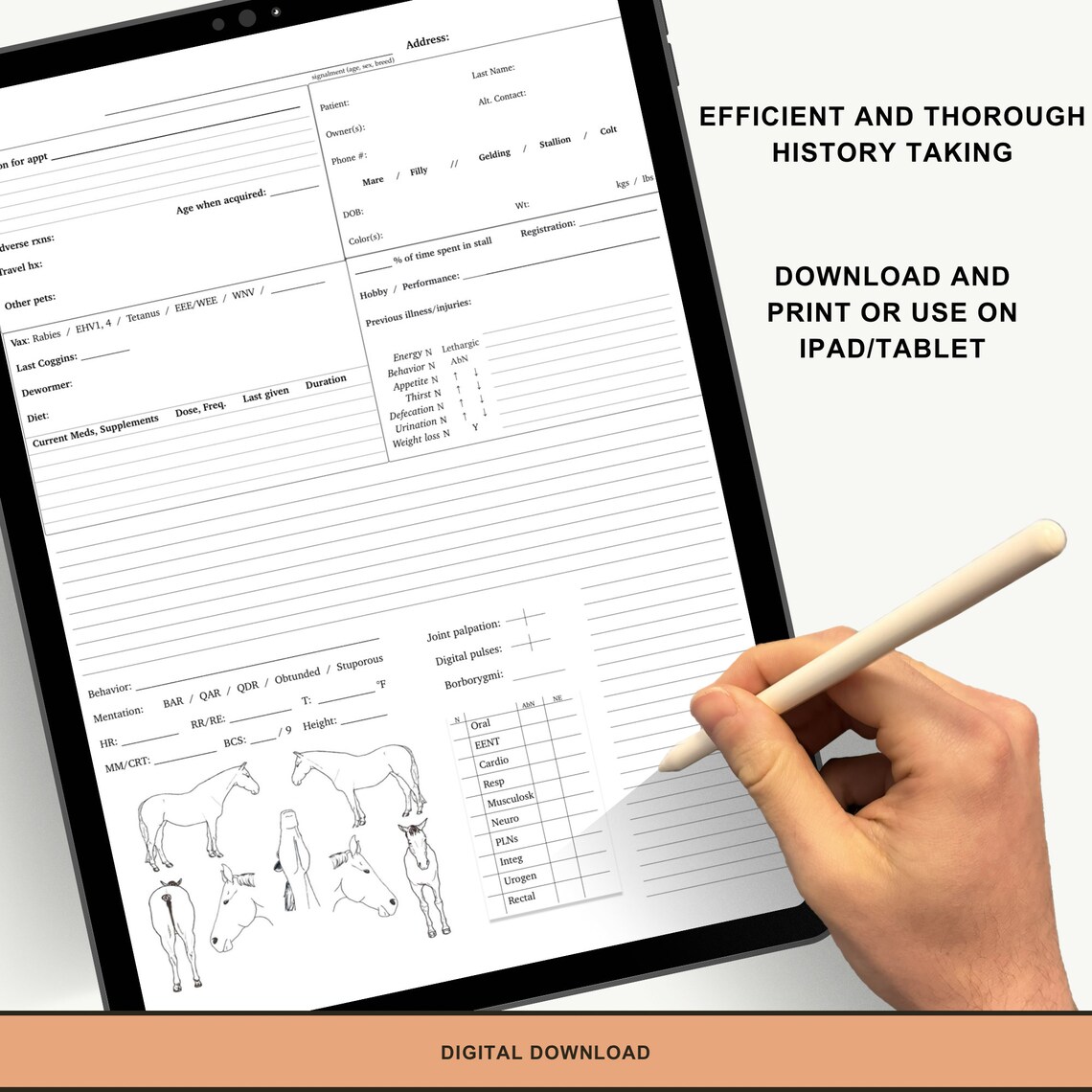 Equine SOAP Template (digital Download) - Etsy
