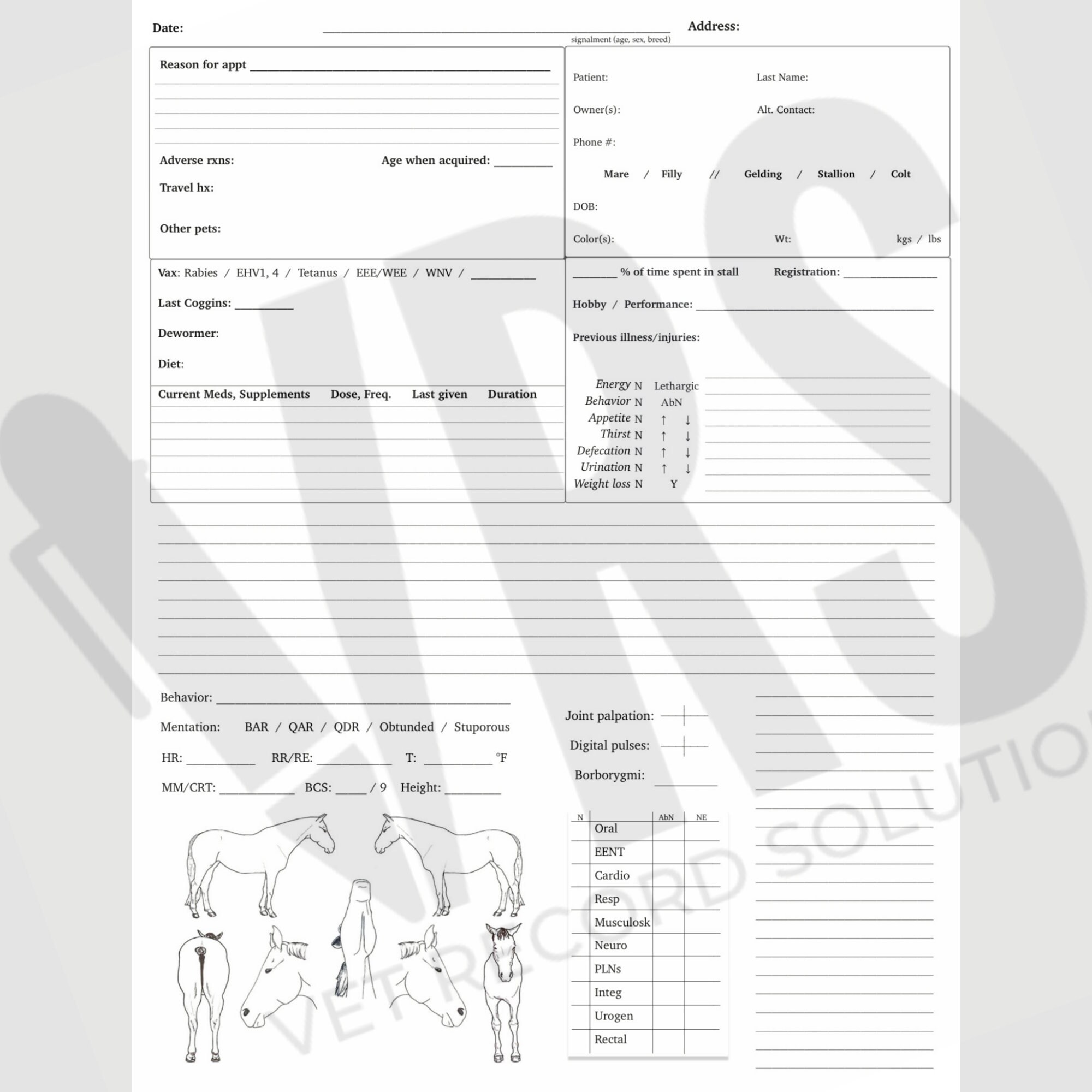 Equine Case Log Notebook - Etsy