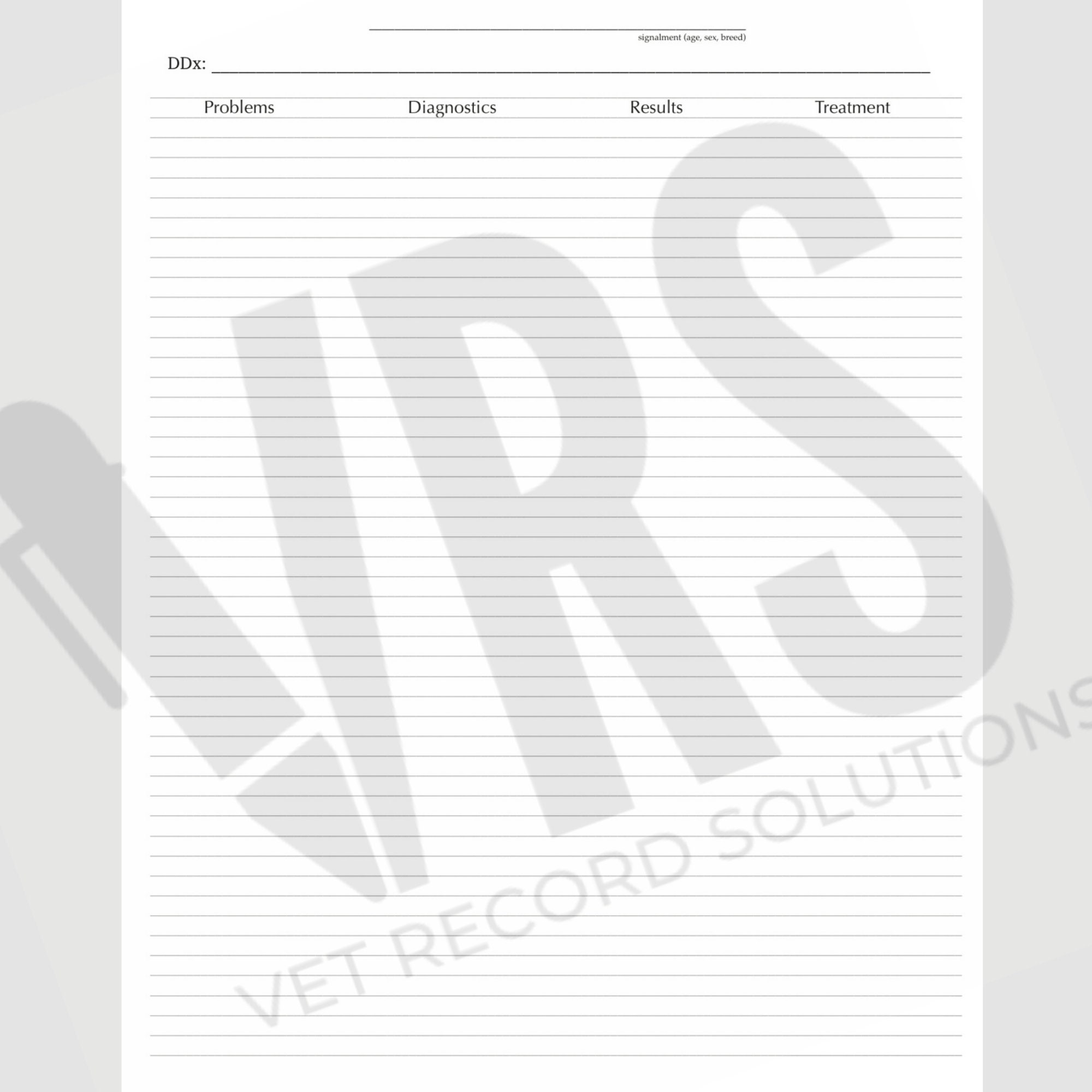 Equine SOAP Template (digital Download) - Etsy