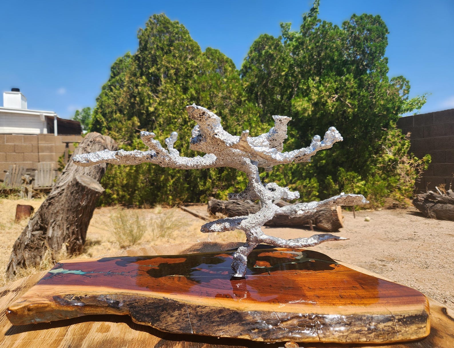 Epoxy High Voltage Wood Burning Anthill - Handcrafted in Bulldog, Az - Etsy